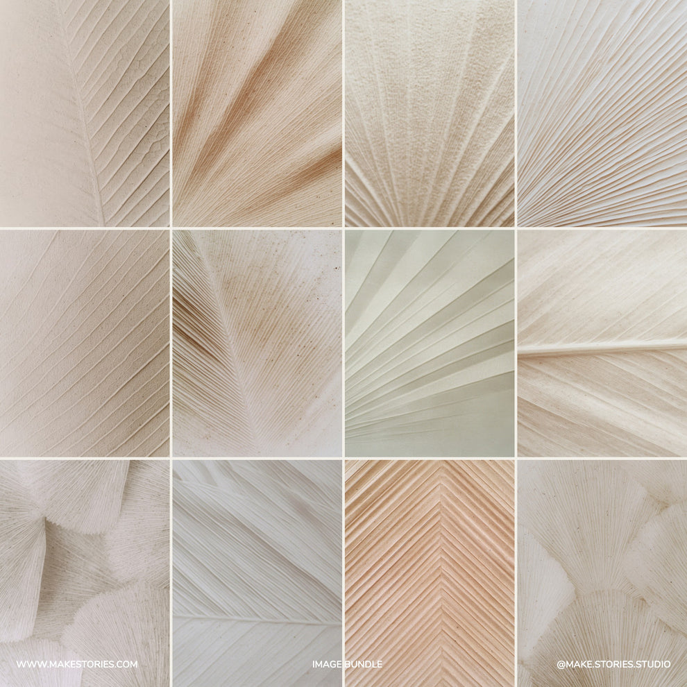 Palm Textures – Make Stories