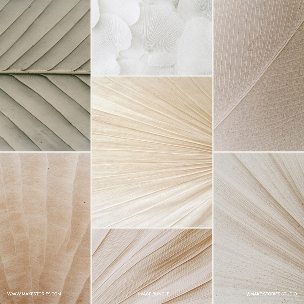 Palm Textures – Make Stories