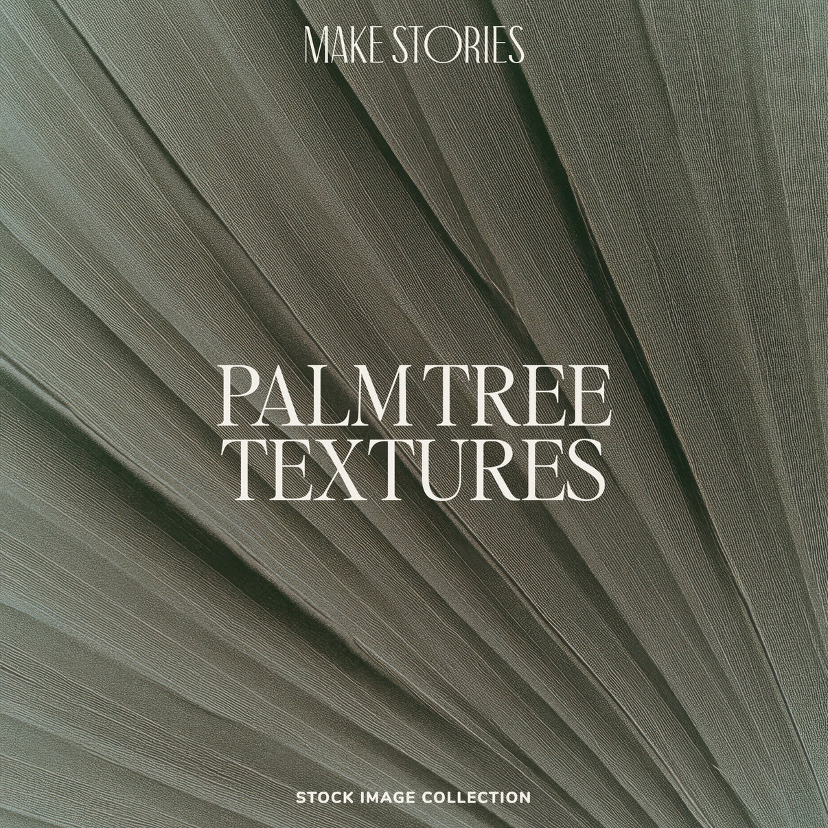 Palm Textures – Make Stories